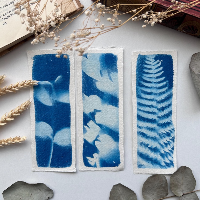 Cyanotype - Etsy UK