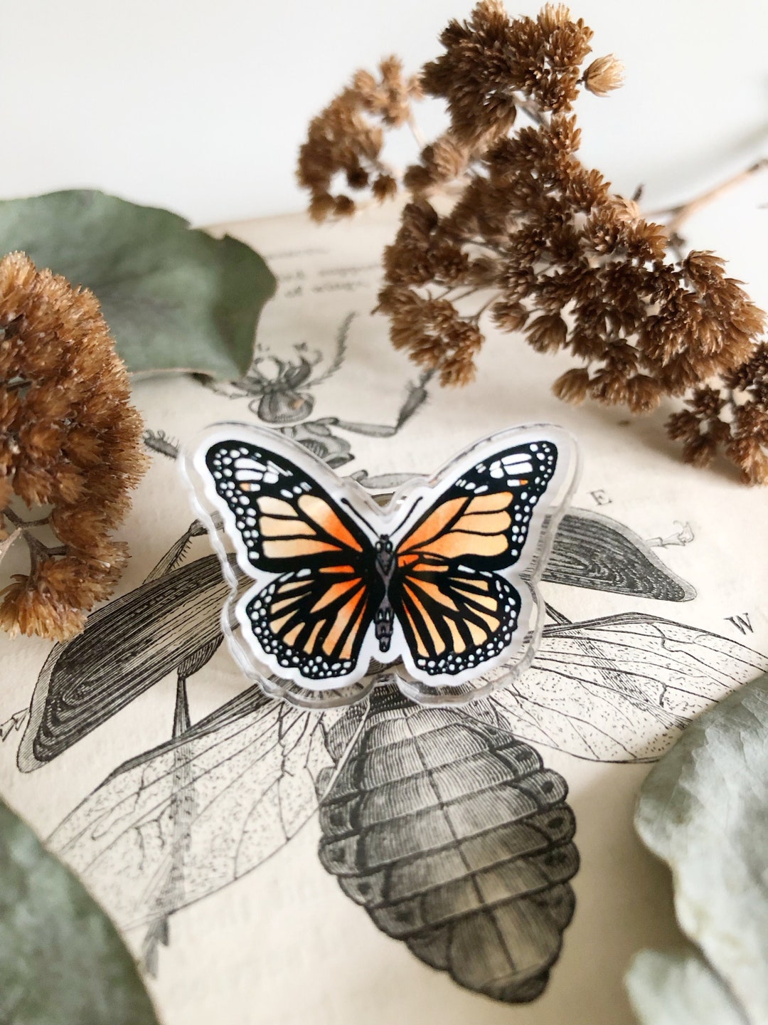 Butterfly Pin Monarch Butterfly Badge Push Pins - Etsy