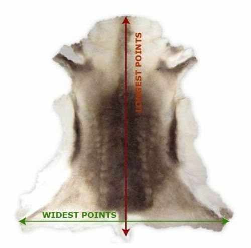 Scandinavian Reindeer Rug Giant Reindeer Hide Genuine - Etsy