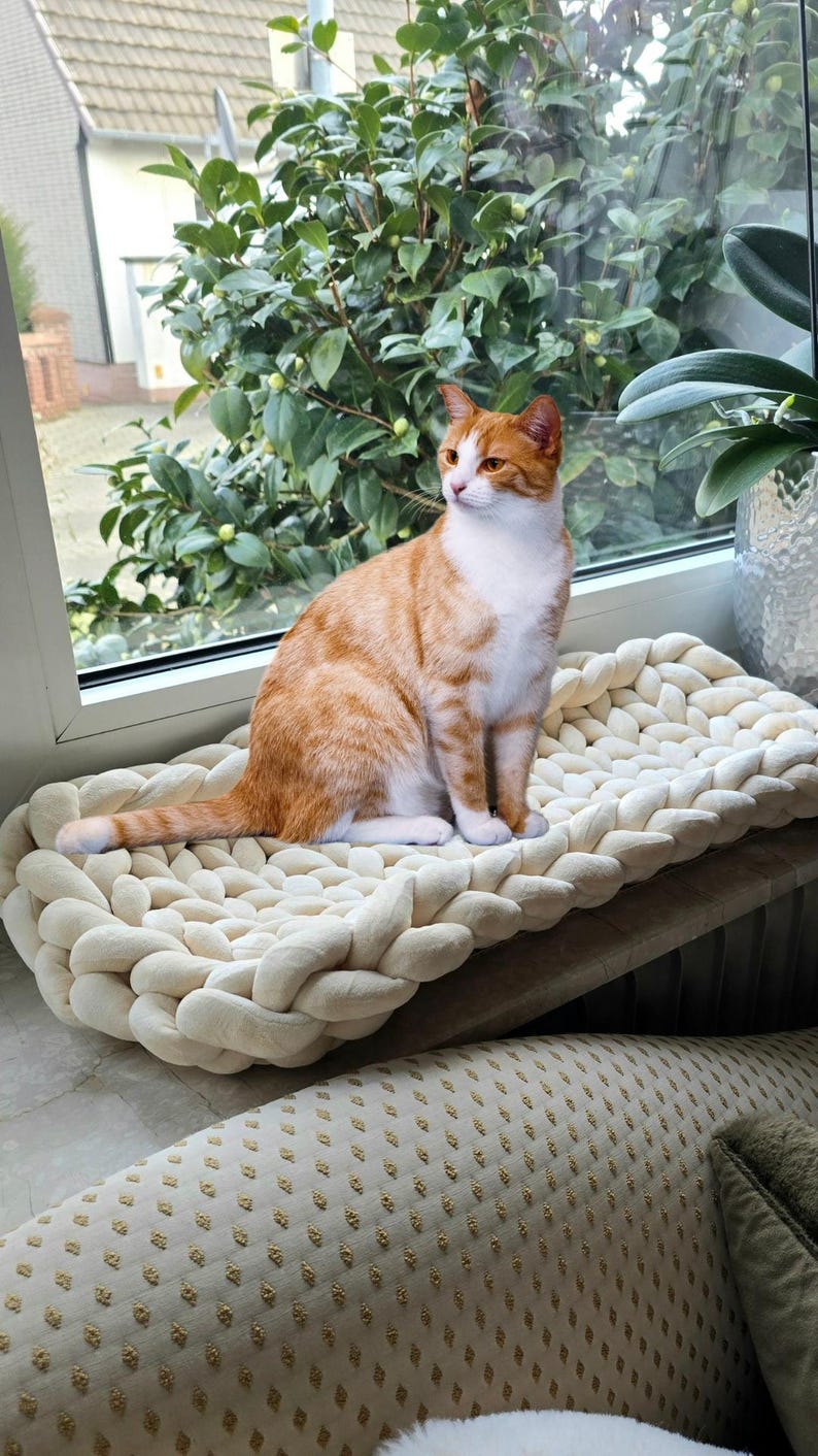 Window Sill Lounger for Cats – Comfortable Cat Bed & Sofa in [new Color ...