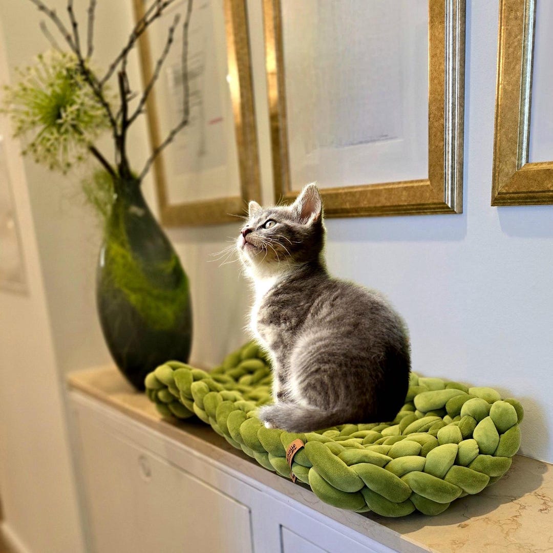 Window Sill Lounger for Cats, Pet Bed & Cat Sofa - Comfortable Cat ...
