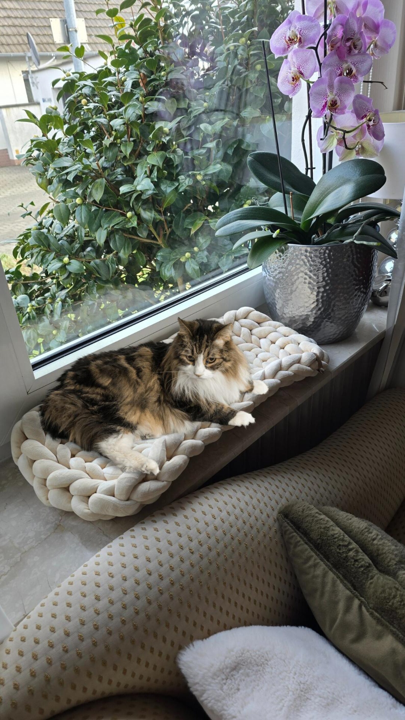 Window Sill Lounger for Cats – Comfortable Cat Bed & Sofa in [new Color ...