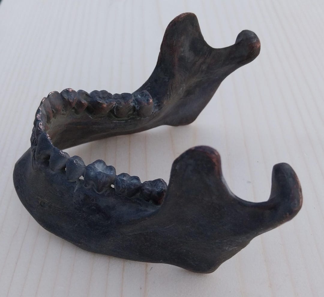 Bronze Human Jaw Real Size - Etsy