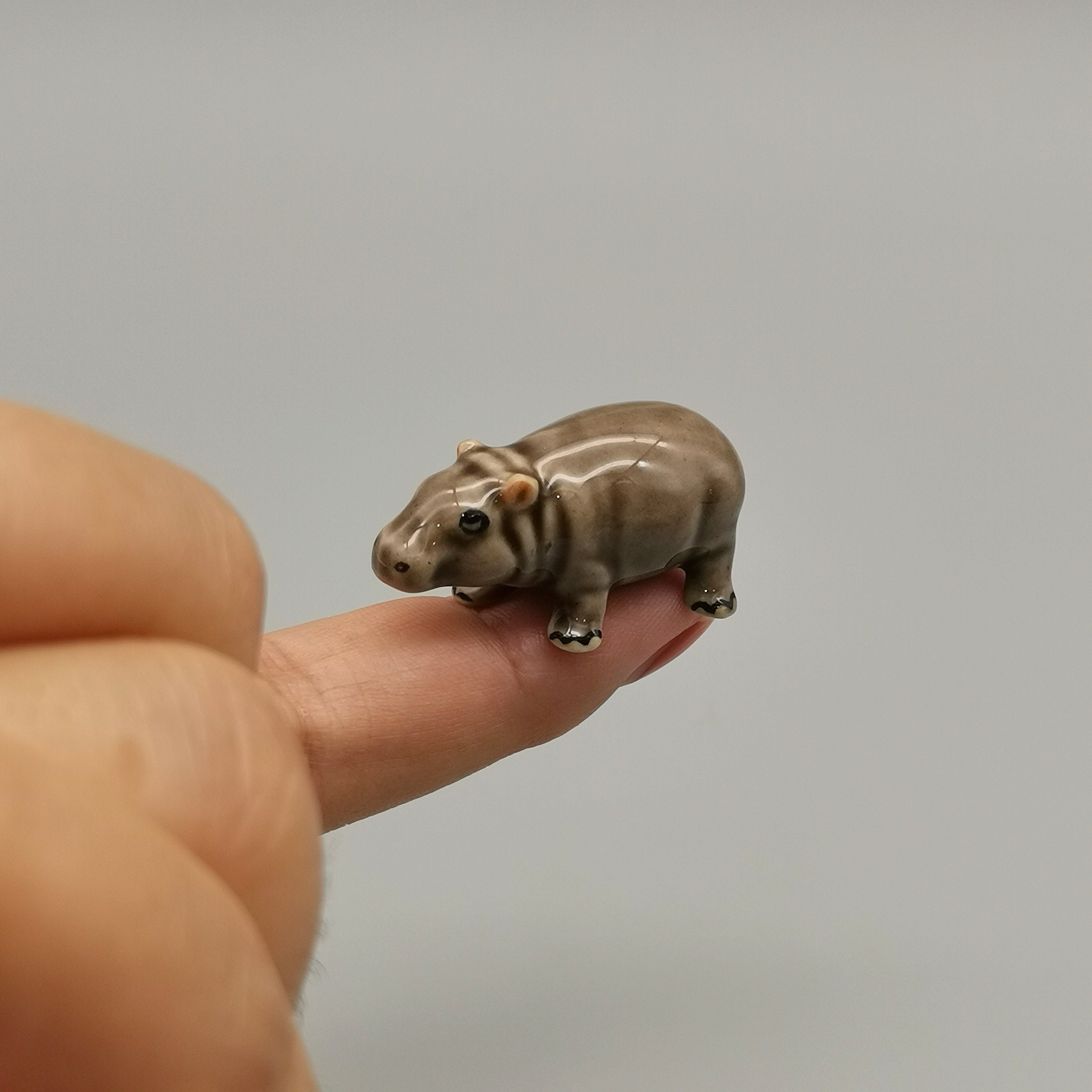 Smallest Hippo In The World