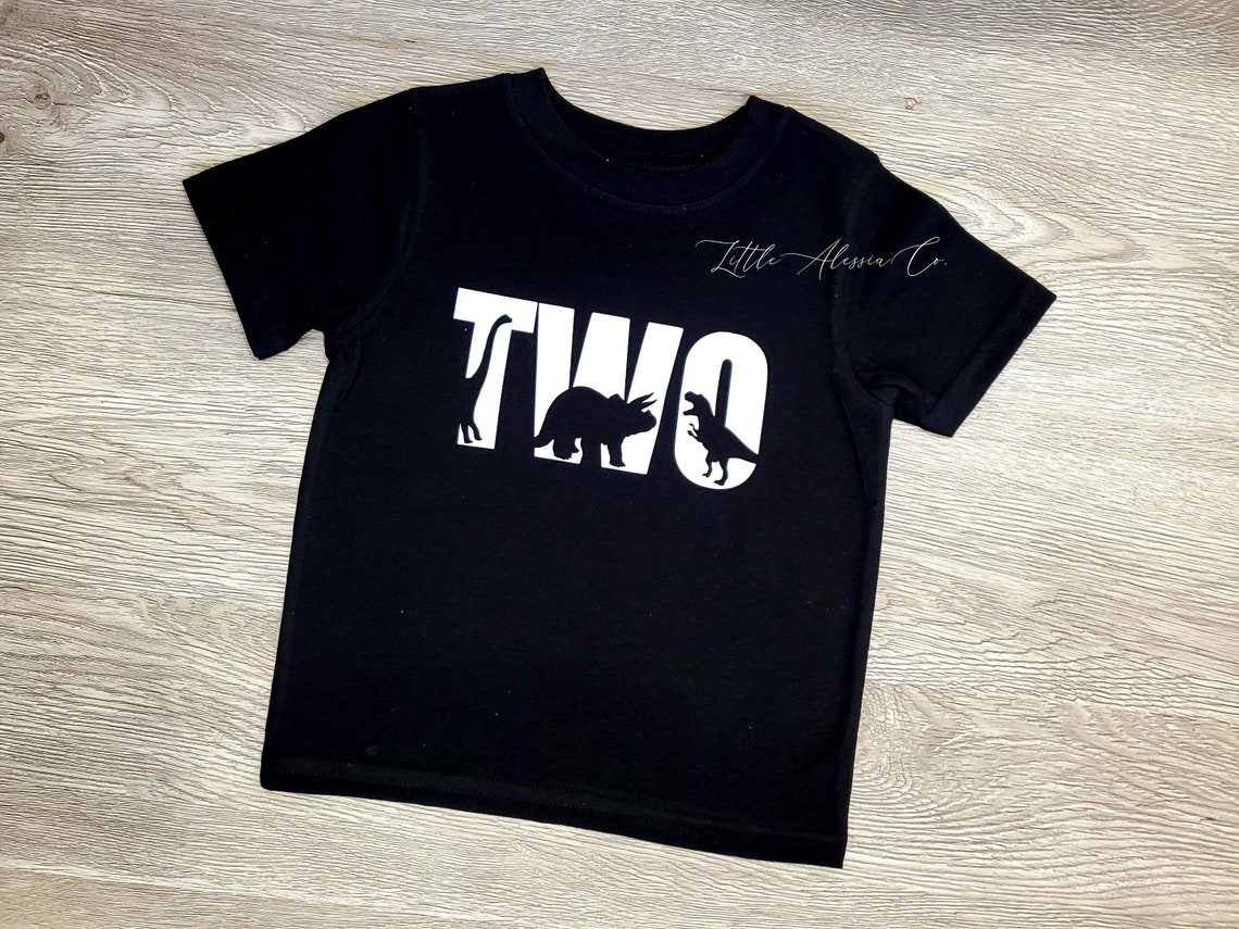 Dinosaur Birthday Shirt - Boys Second Birthday Dino Tshirt - Dino ...