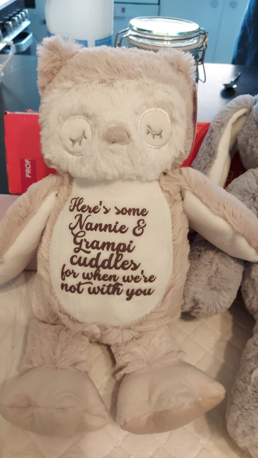 Personalised Cuddle Message Teddy Newborn Gift Baby - Etsy