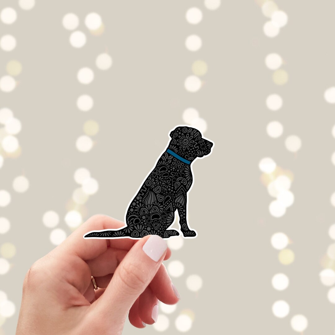 Black Labrador Retriever With Blue Collar High Quality Waterproof ...