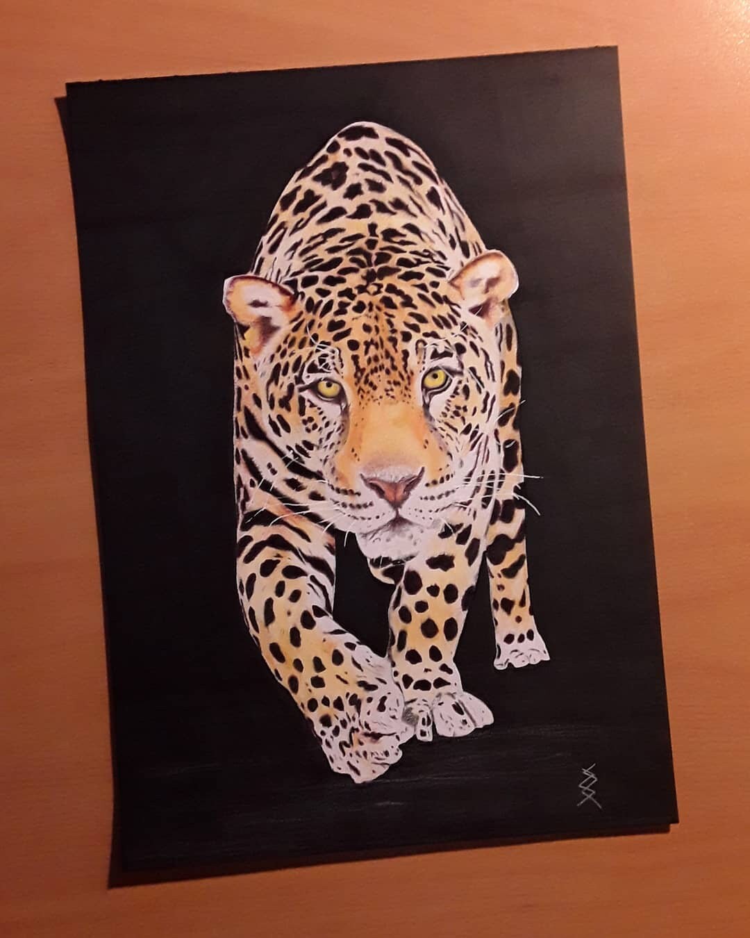 How To Draw A Realistic Tiger Marker Coloured Pencil