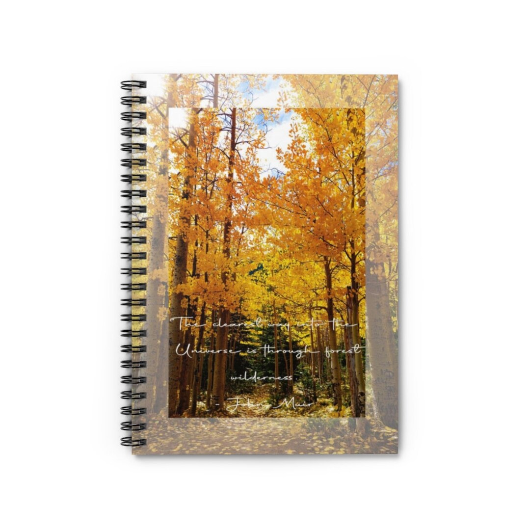 Aspen Trees -the Clearest Way Into the Universe is Through a Forest ...