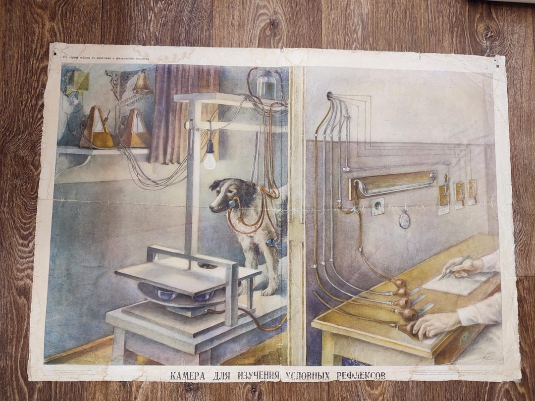 ODDITIES CURIOSITY POSTER Original Vintage Physiology Pavlov's Dog - Etsy