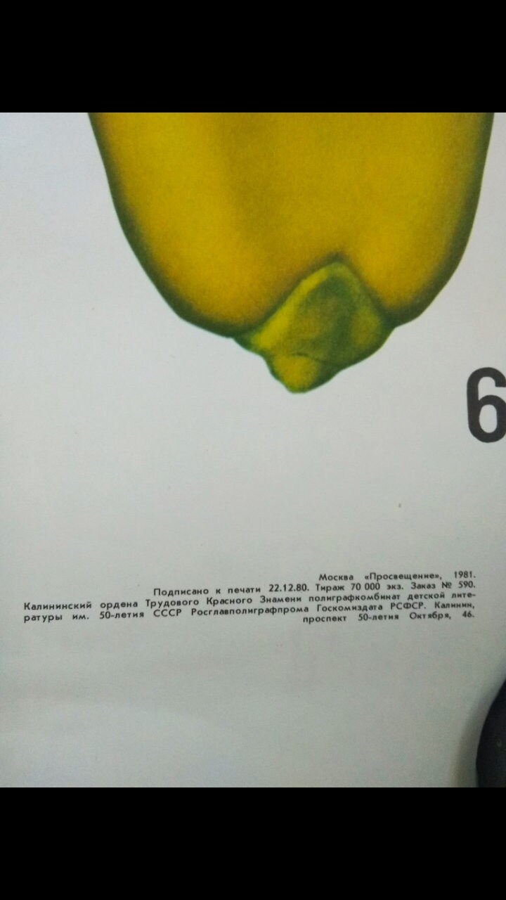 School Vintage Chart, Soviet Poster, Corn Poster, Agrocultural Poster ...