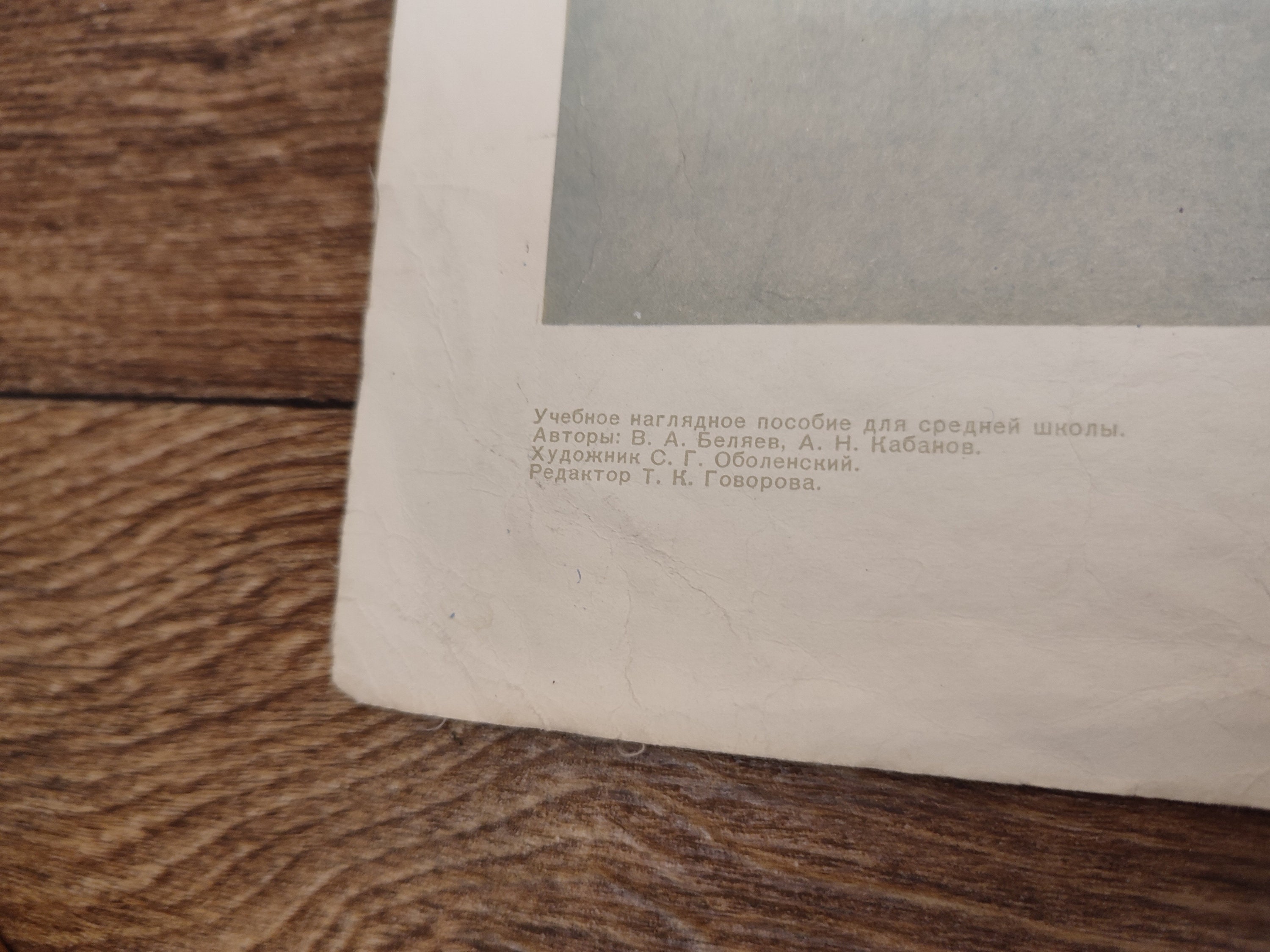 ODDITIES ANATOMICAL CHART Original Vintage Skeleton Bones Education ...