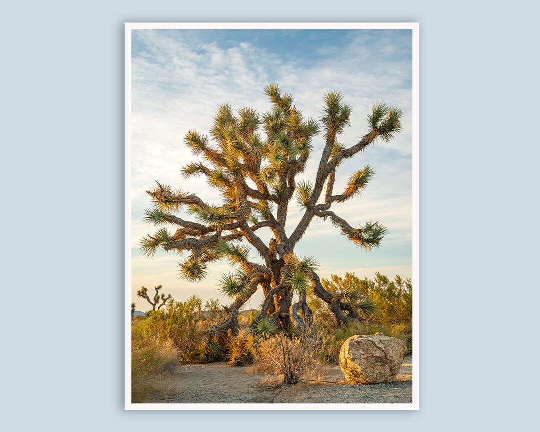Joshua Tree Print Desert Print Joshua Tree Wall Art Desert - Etsy
