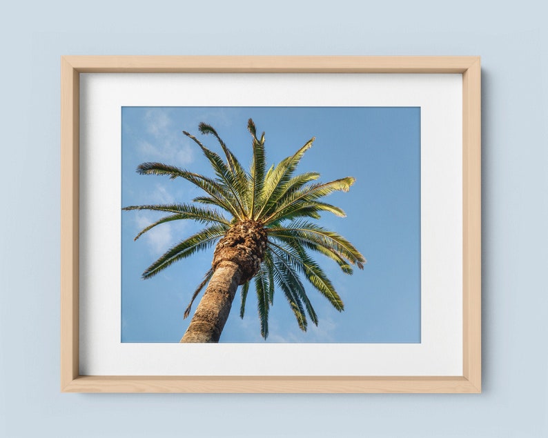 Palm Tree Prints California Wall Art San Diego Coastal - Etsy