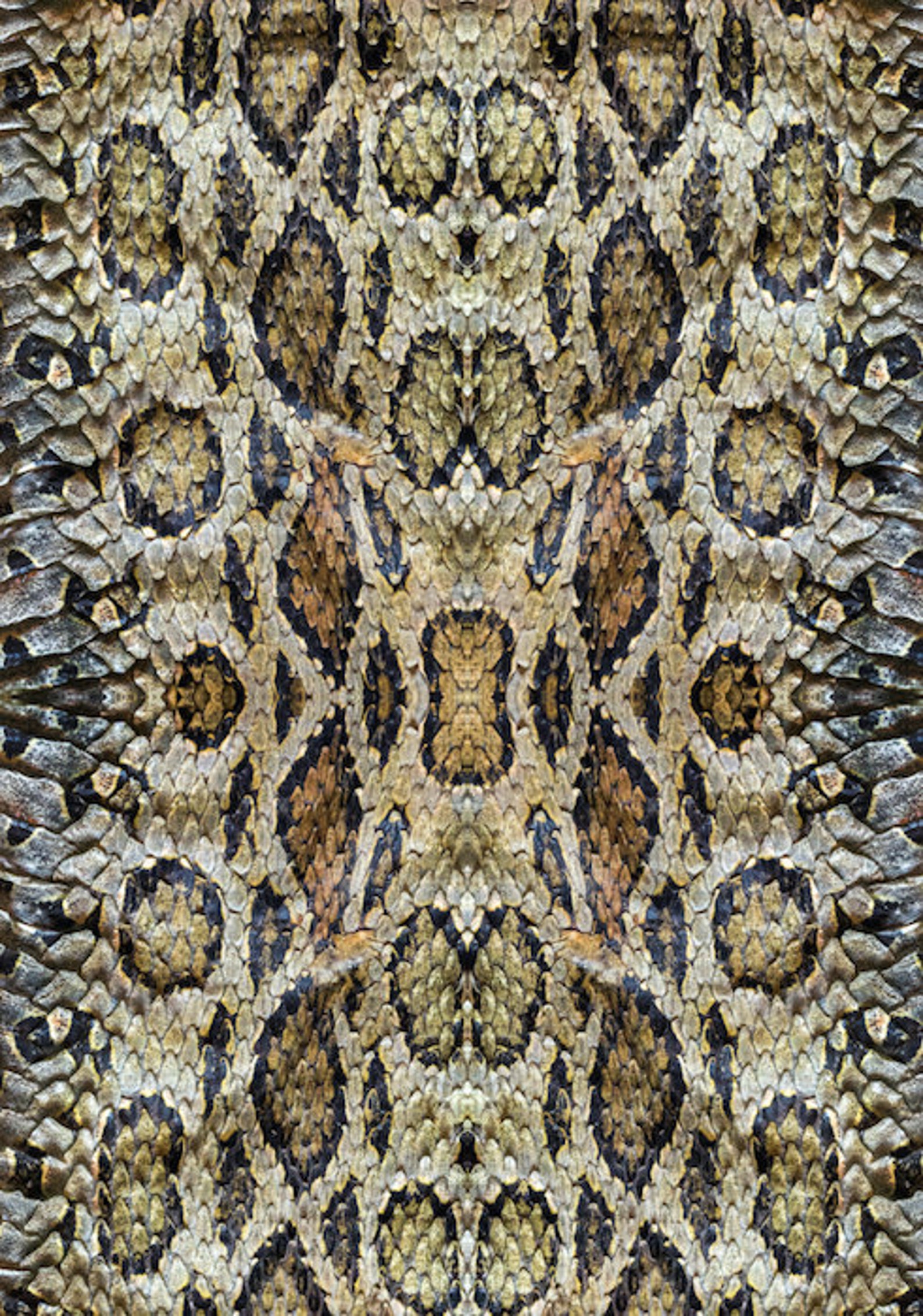 12 X 17 Snake Skin Animal Print Colorful Sheet - Etsy