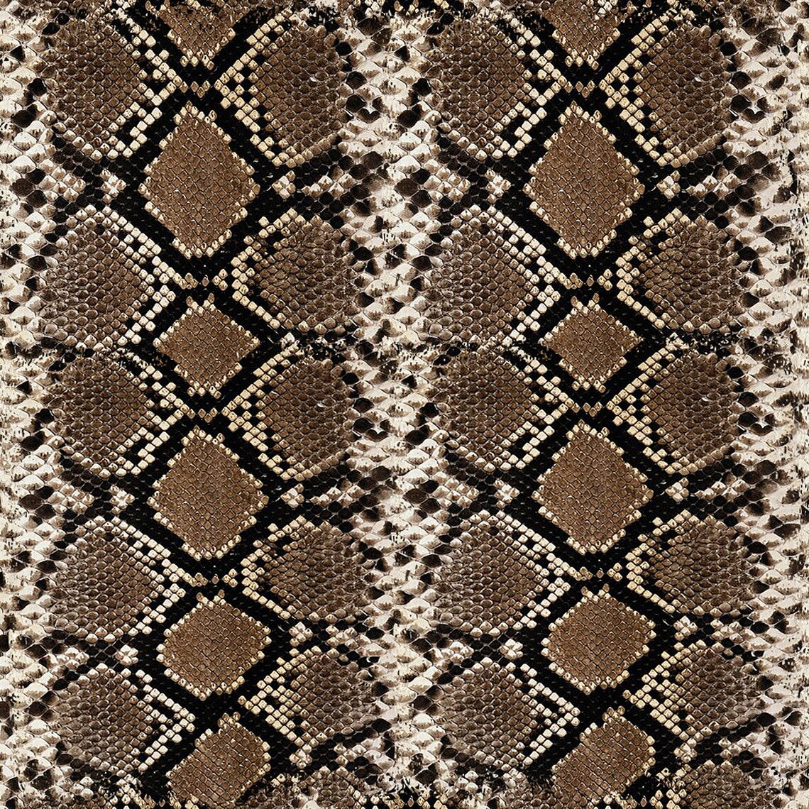 12 X 12 Snake Skin Decal Vinyl Animal Print Trendy - Etsy
