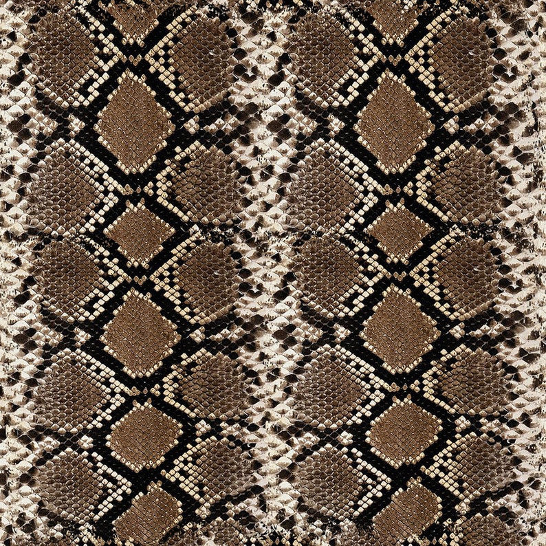 12 X 12 Snake Skin Decal Vinyl Animal Print Trendy - Etsy