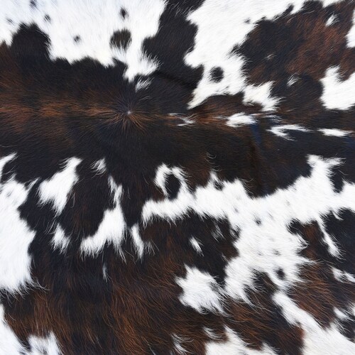 Patterned Vinyl Cowhide Printed HTV Animal Printadhesive - Etsy