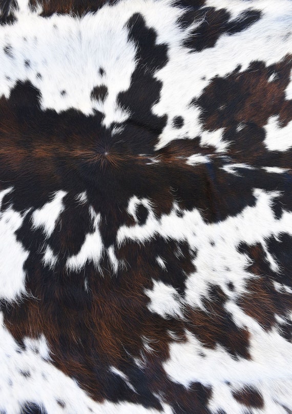 12 X 17 Cowhide Brown Black HTV Cow Animal Print | Etsy