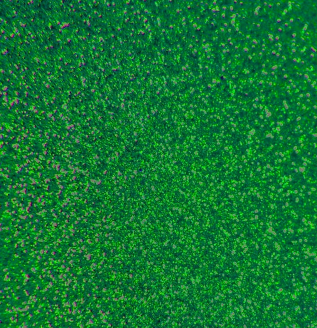 12" X 20" Hologram Green Glitter HTV - Heat Transfer Vinyl Sheet Sheets ...