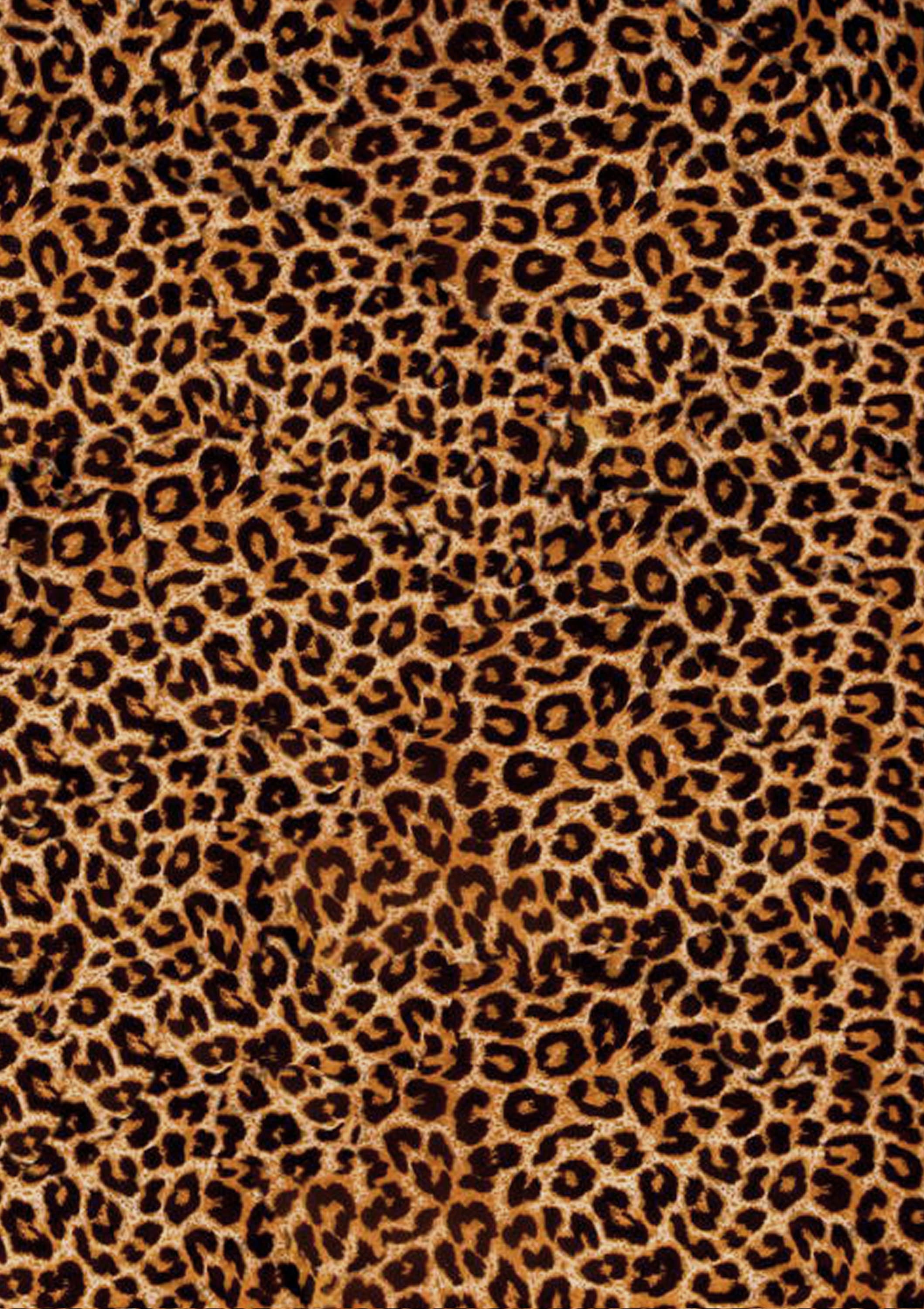 12 X 17 Cheetah Leopard Cow Animal Colorful Sheet Patterned Vinyl ...