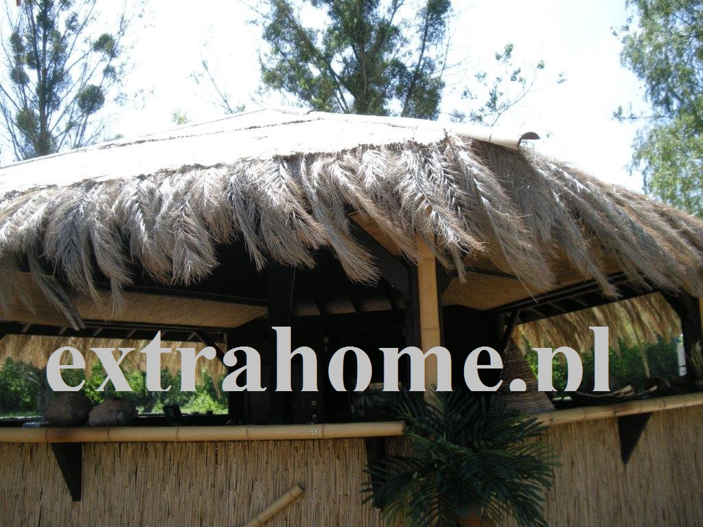 Garden Umbrella, Beach Umbrella, Tropical Umbrella, Hawaiian Umbrellas ...