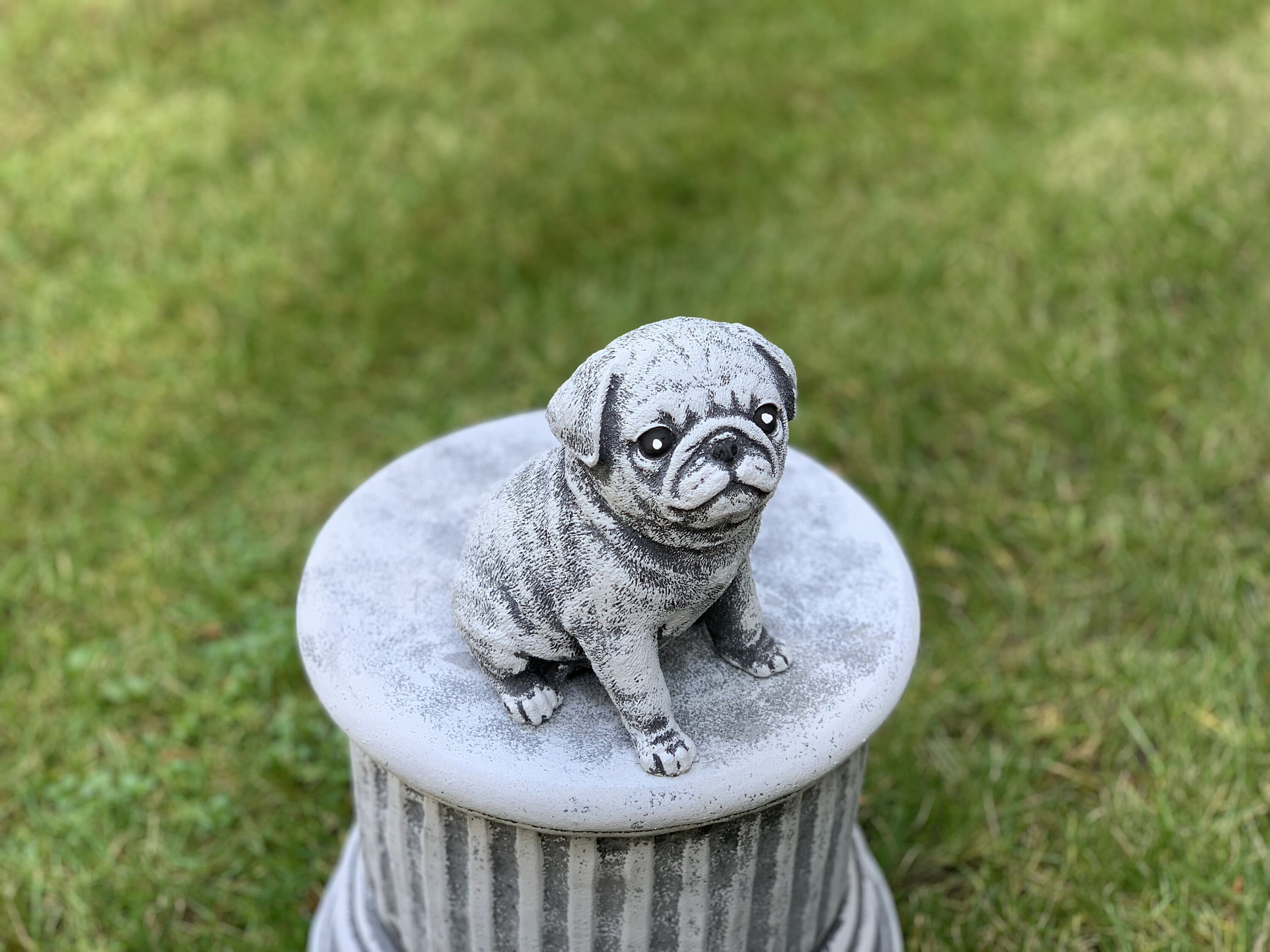 Pug Statue Concrete Painted Pug Cement Dog Figure Pet | Etsy