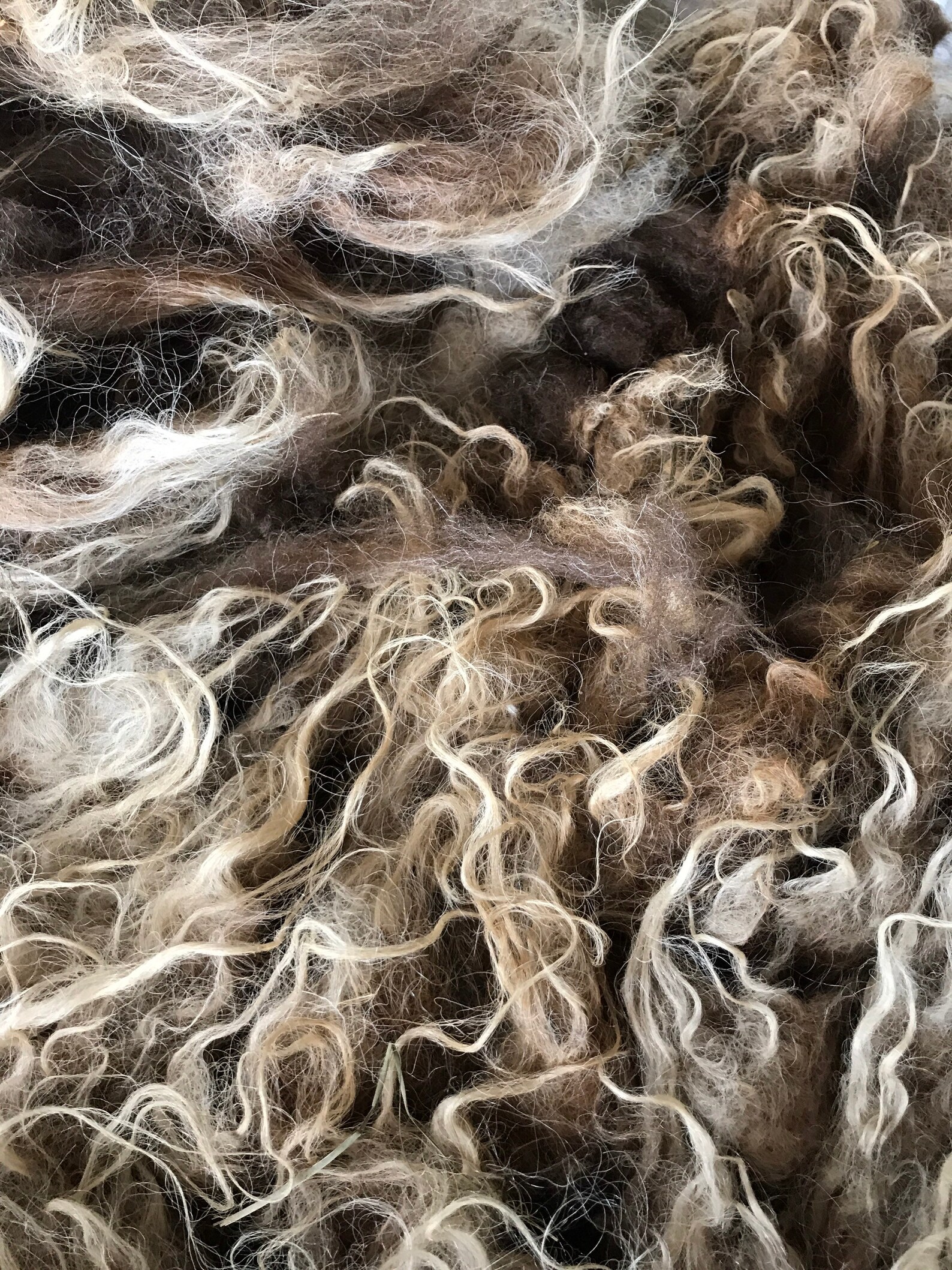 Lana grezza marrone/bianca di colore misto Troi | Etsy