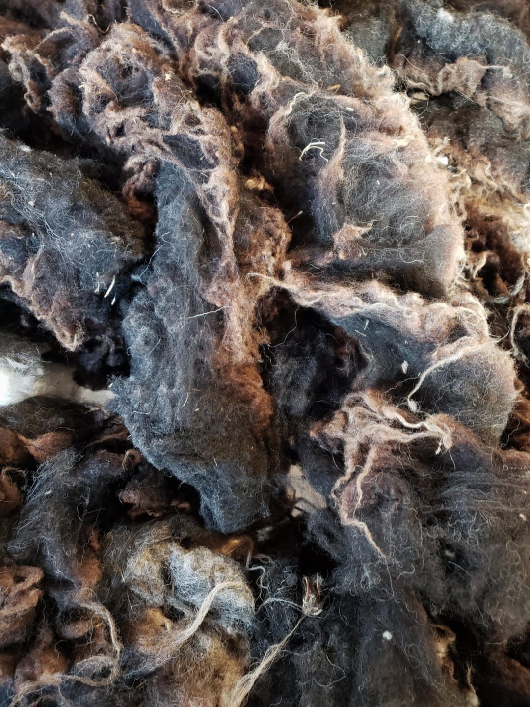 Raw Dark Brown/white Shetland Wool, wakulla - Etsy