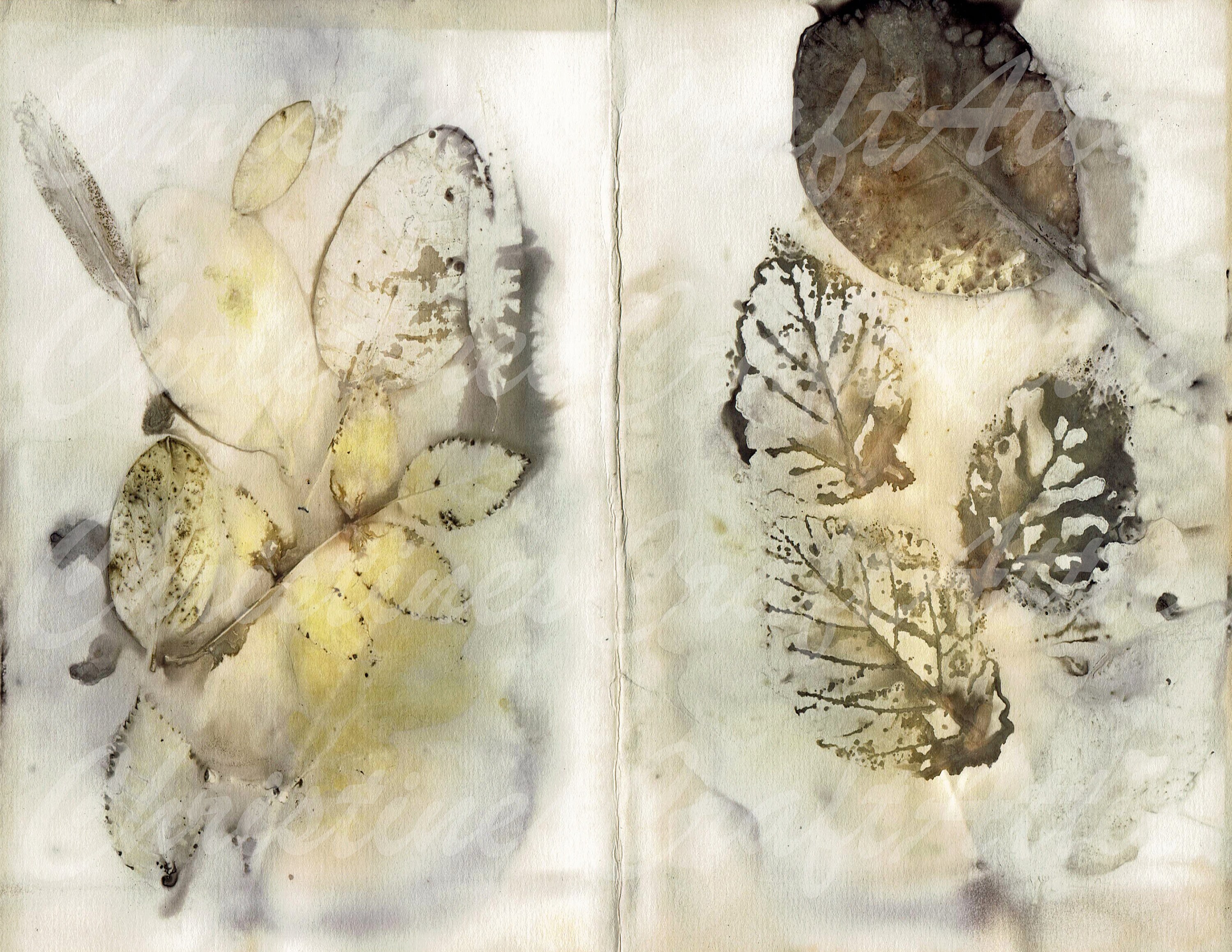 Digital Eco Prints Kit 10 Pages Printables Eco Dyed Paper - Etsy