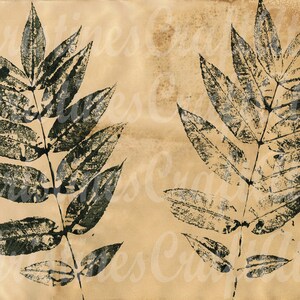 Digital Leaf Prints Kit (5 Pages), Printables, Ephemera for ...