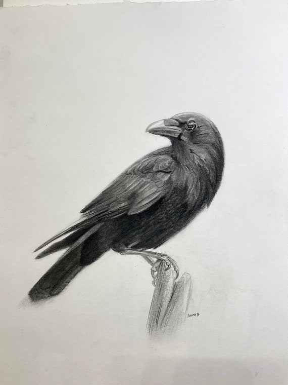 Crow Dark Bird Halloween Graphite Black and White Print 9x12 | Etsy