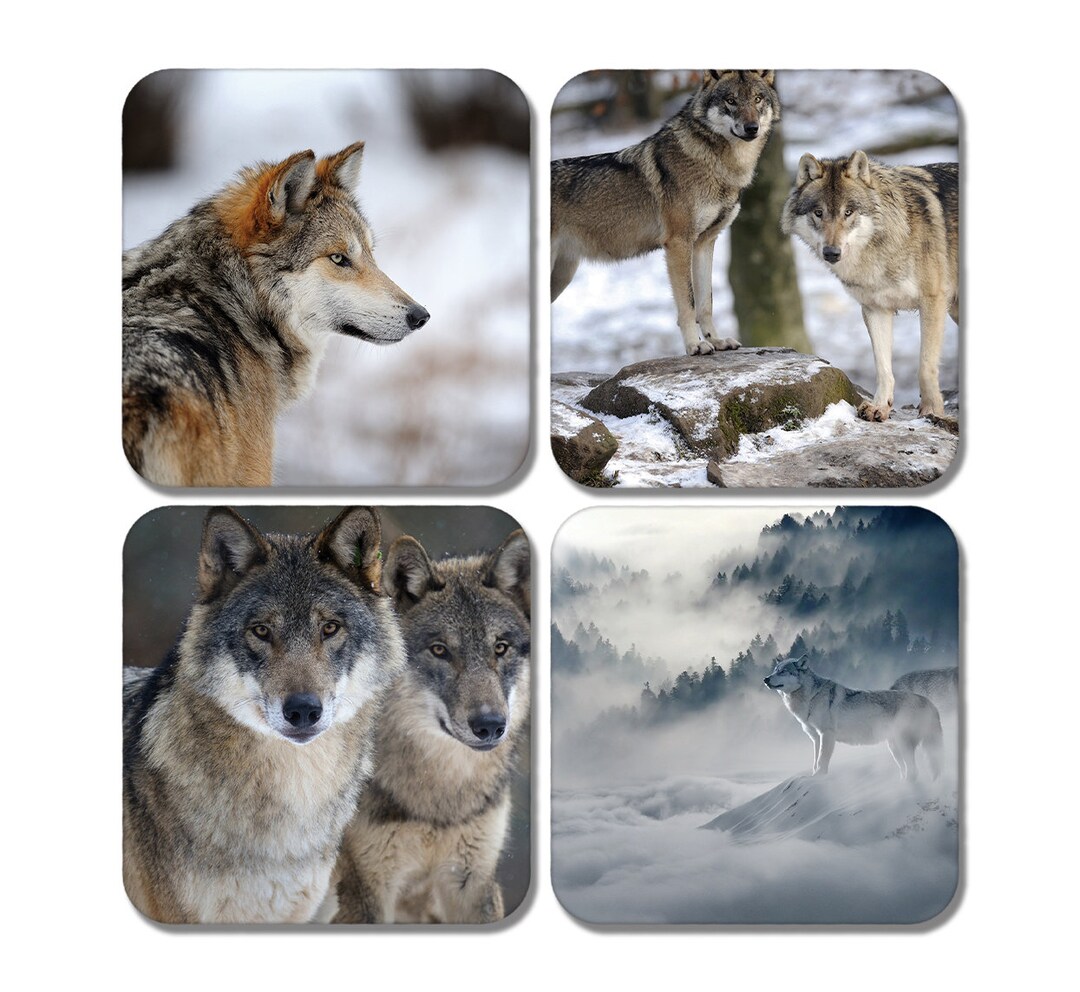 4 X Square Wolf Coasters Wolves Pack Animal Wild Winter Drinks Living ...