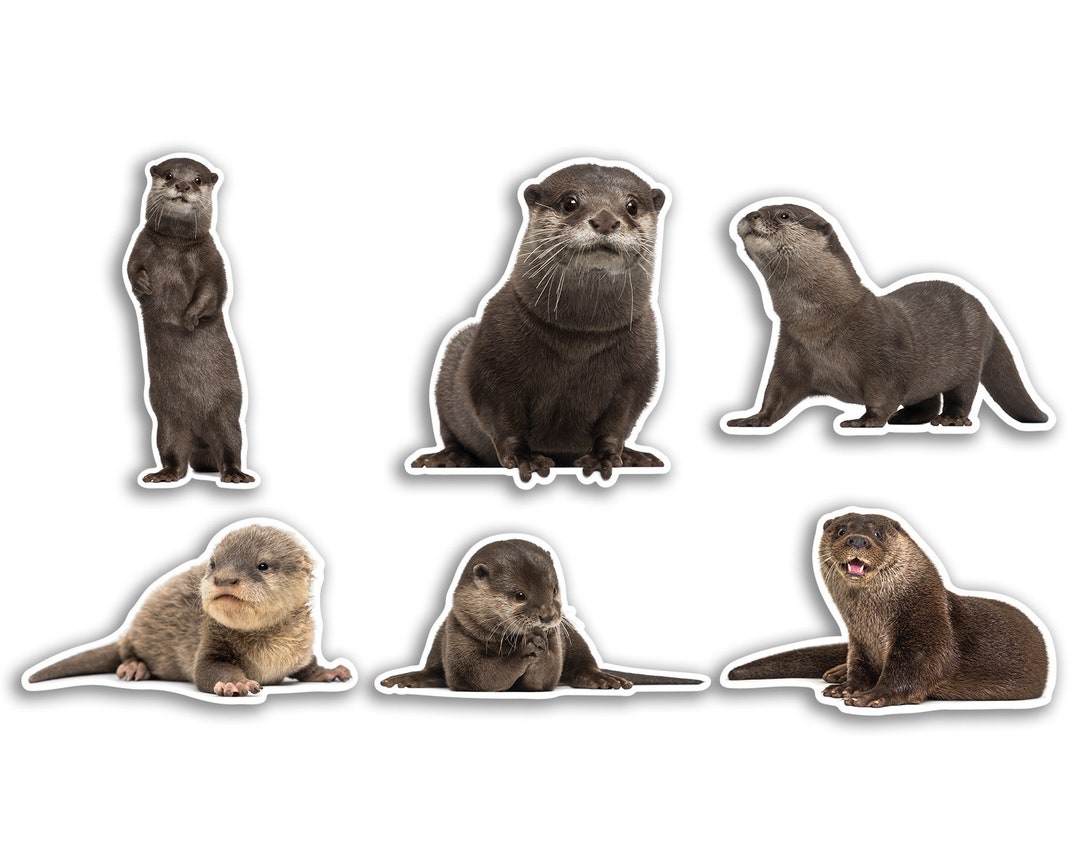 6 X 10cm Otter Vinyl Stickers - Sea Creature Wildlife Animal Funny ...