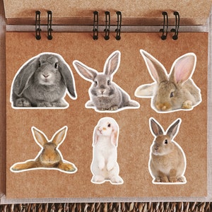 6 X 10cm Rabbit Vinyl Stickers - Bunny Funny Animal Pattern Nature Pets ...