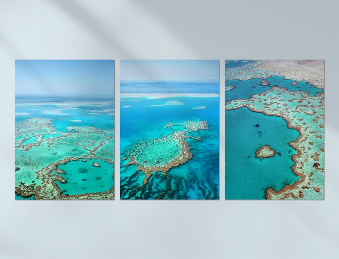 3 X Great Barrier Reef Posters Australia Trio of Prints Portrait Poster ...