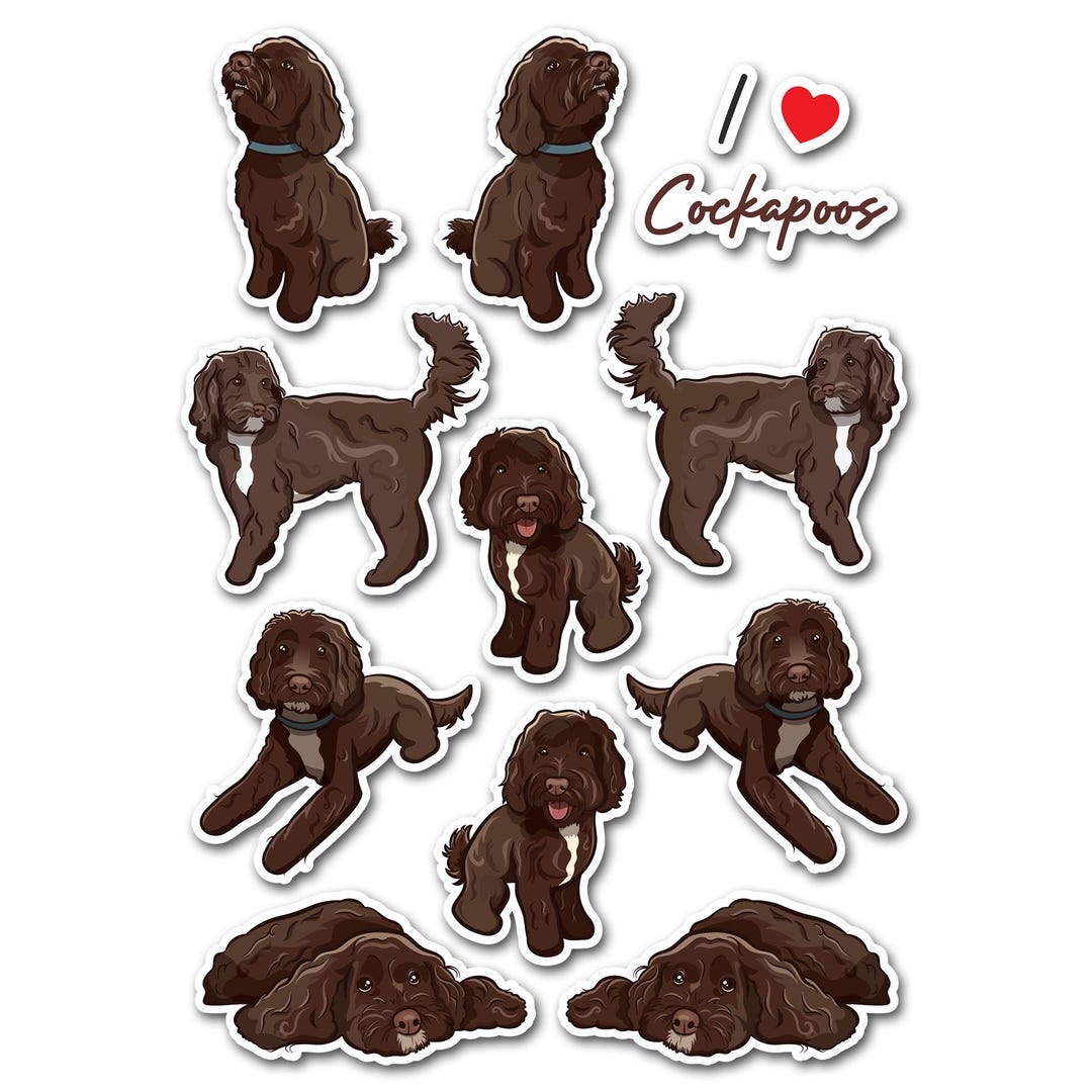 A5 Sticker Sheet Chocolate Cockapoo Vinyl Stickers - Dogs Puppy Cavapoo ...
