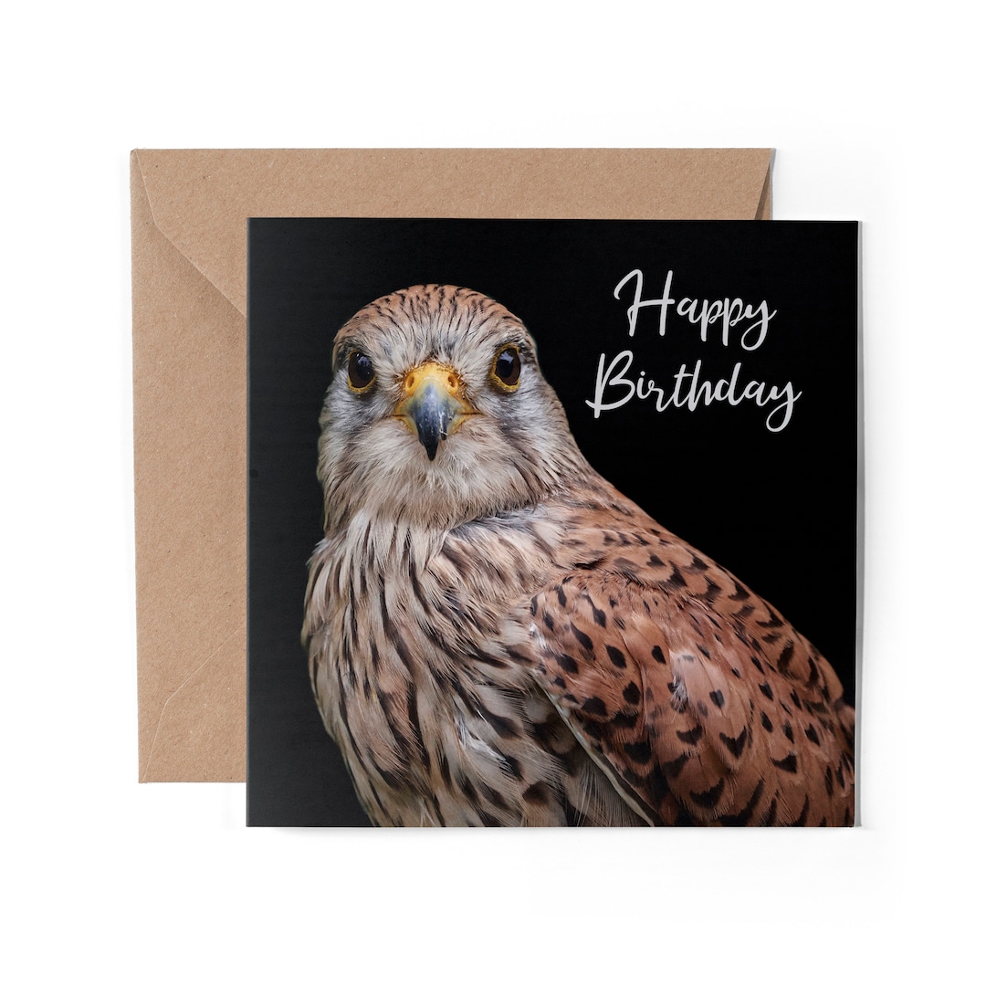 1 X Greeting Card Happy Birthday Kestrel Bird of Prey Watercolour Art ...