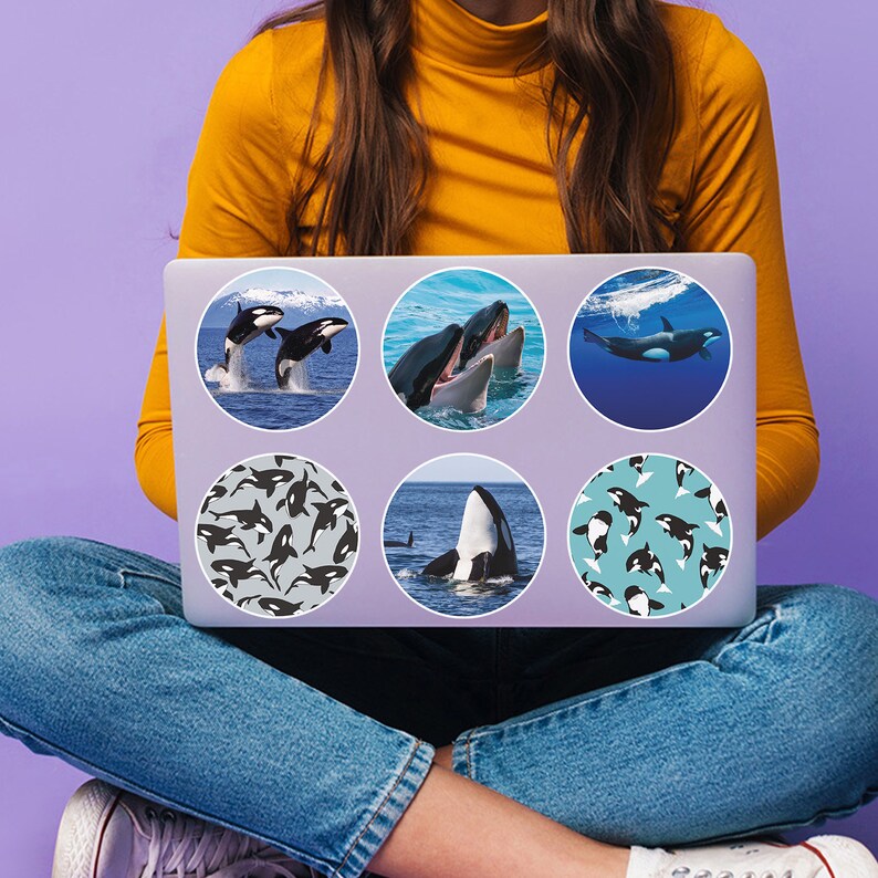 6 X 10cm Orca Whale Vinyl Stickers Sea Creature Pattern - Etsy