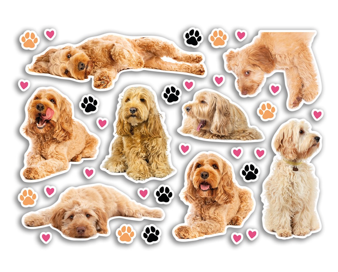 A5 Sticker Sheet Cockapoo Vinyl Stickers Dogs Puppy Animals - Etsy