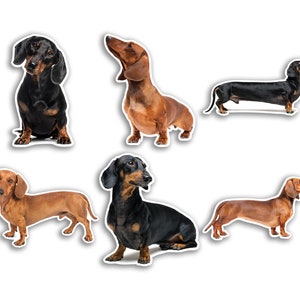 6 X 10cm Dachshund Vinyl Stickers Sausage Dog Puppy Animal Funny ...