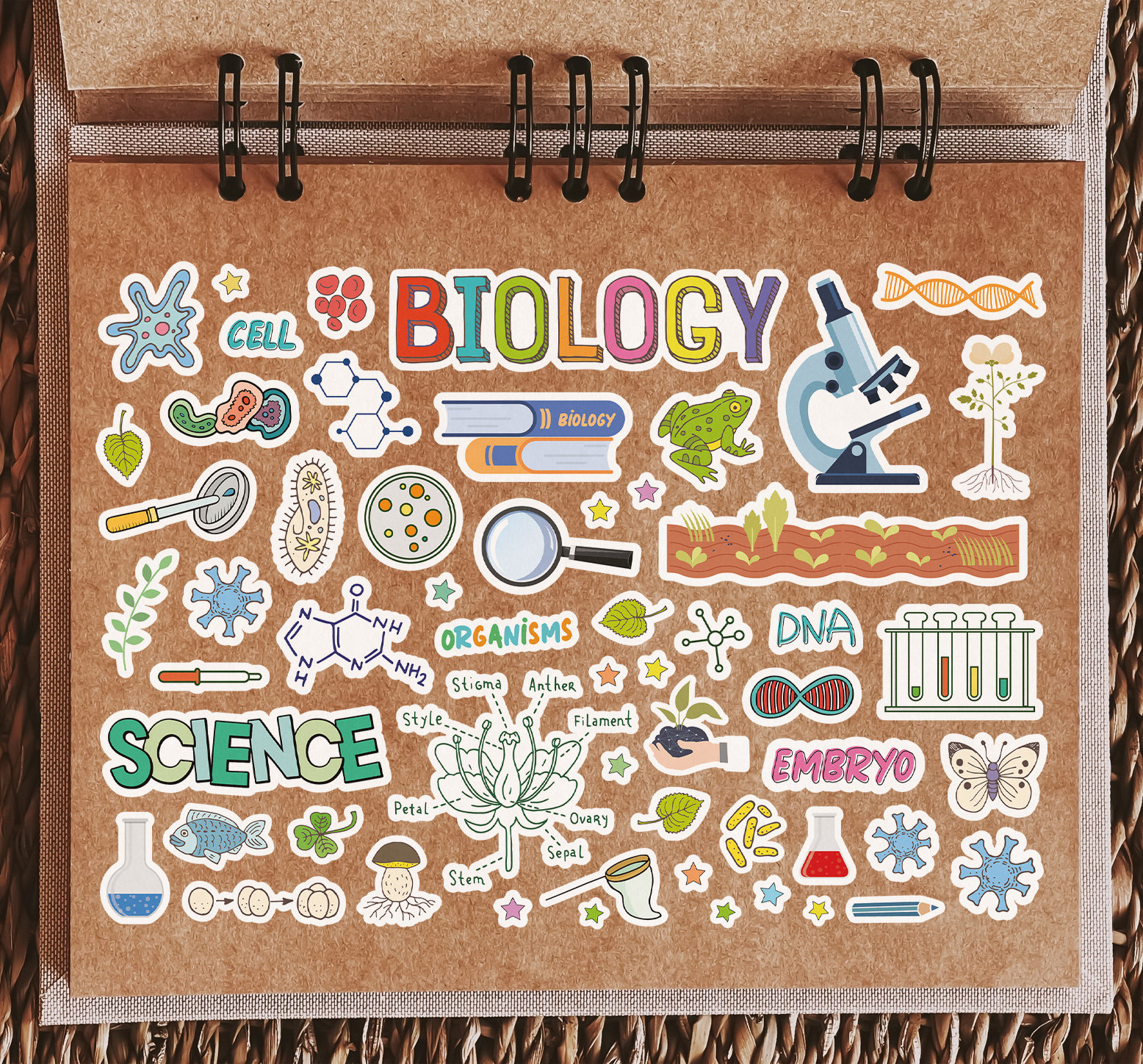 A4 Sticker Sheet Biology Vinyl Stickers - Science Triple Exams Fan ...