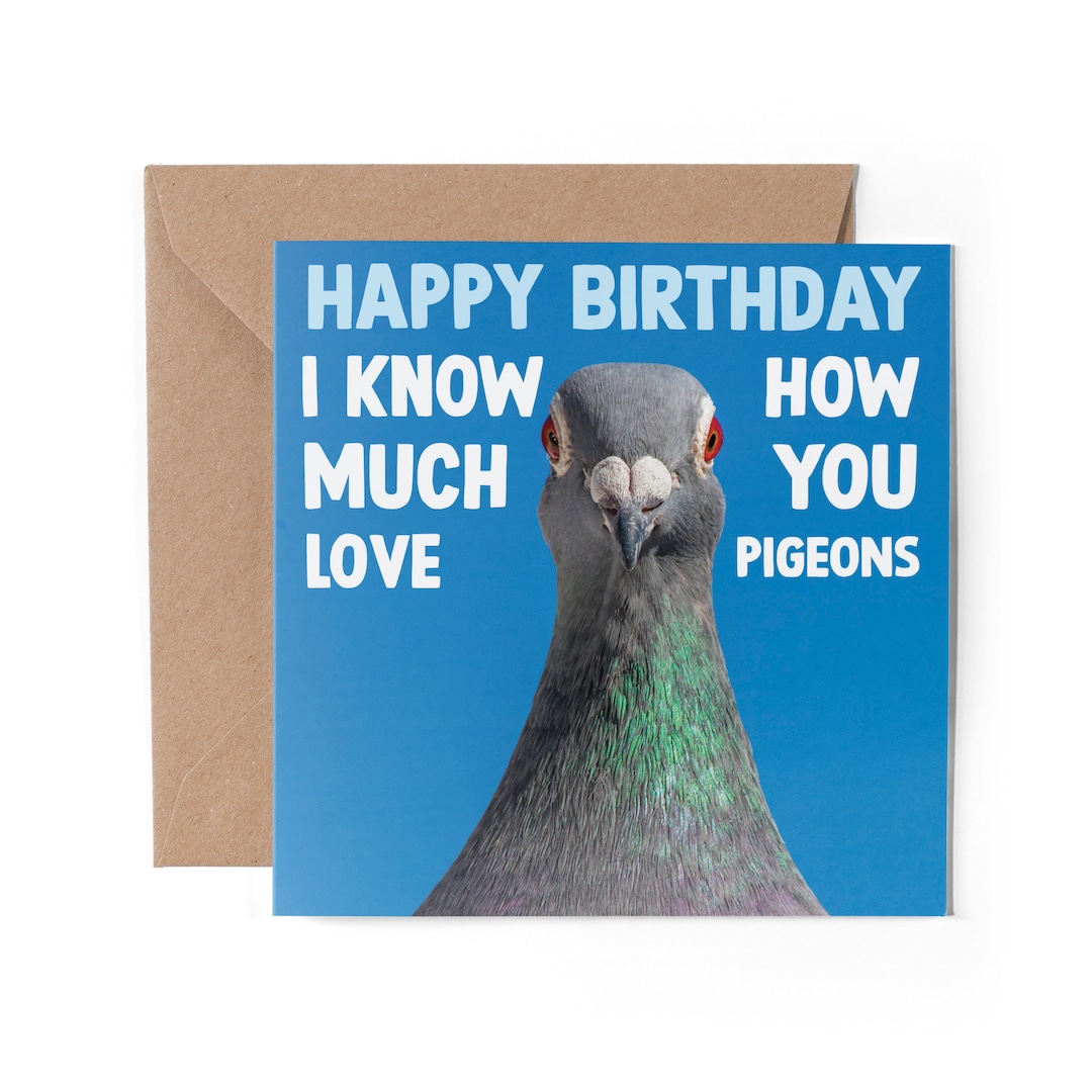 1 X Greeting Card - Happy Birthday Pigeon Garden Birds Animals Pets ...