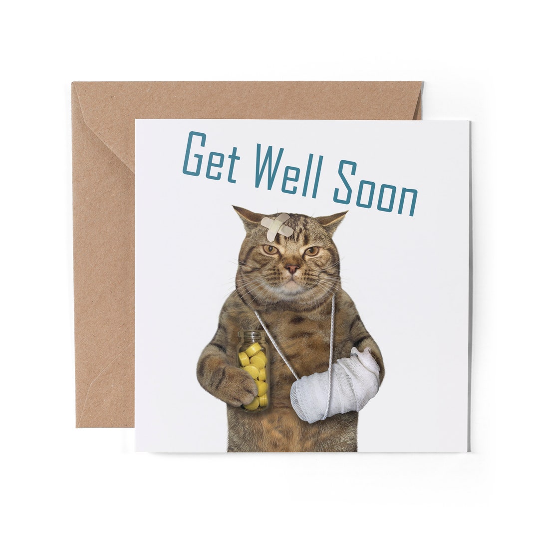 1 X Greeting Card - Get Well Soon Cat Kitten Cats Office Illness ...