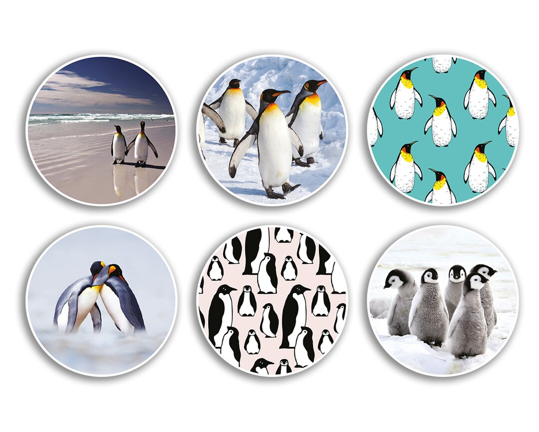 6 X 10cm Penguin Vinyl Stickers - Animal Emperor Pattern Wild Snow ...