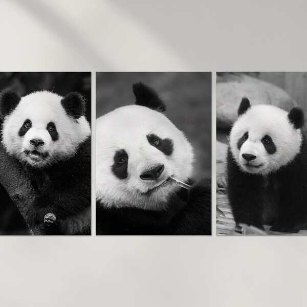 Panda Poster - Etsy UK