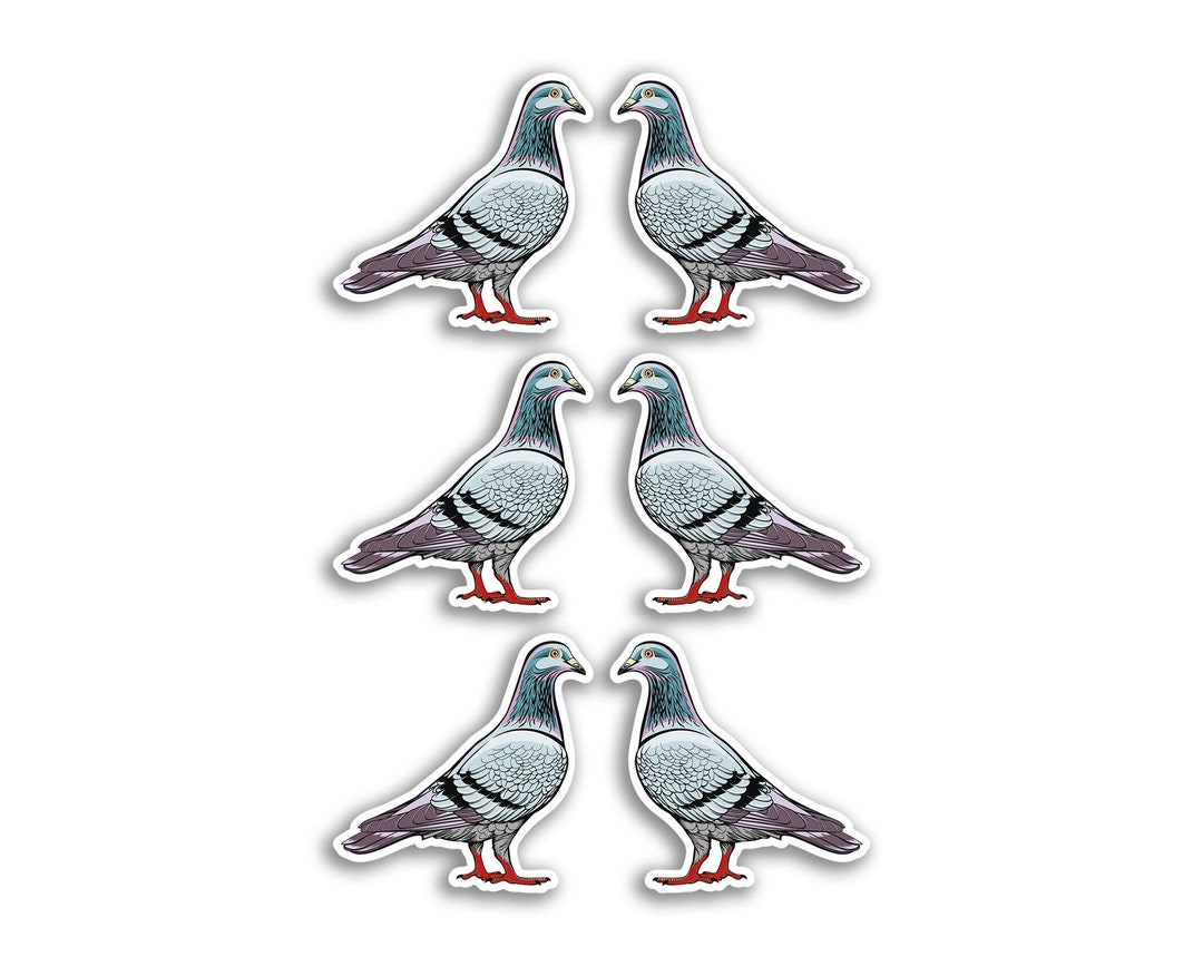 6 X 5cm Pigeon Vinyl Stickers - Pigeons Garden Bird Cartoon Luggage Men ...