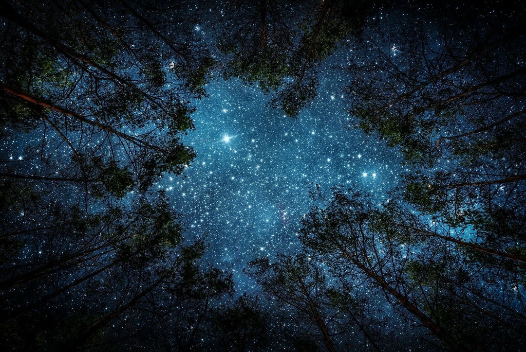 1 X Beautiful Night Sky Poster - Stars Forest Wild Camping Trees ...