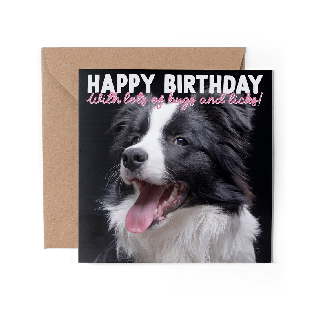 1 X Greeting Card Happy Birthday Border Collie Hugs & Licks Puppy Dogs ...