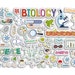 A4 Sticker Sheet Biology Vinyl Stickers - Science Triple Exams Fan ...